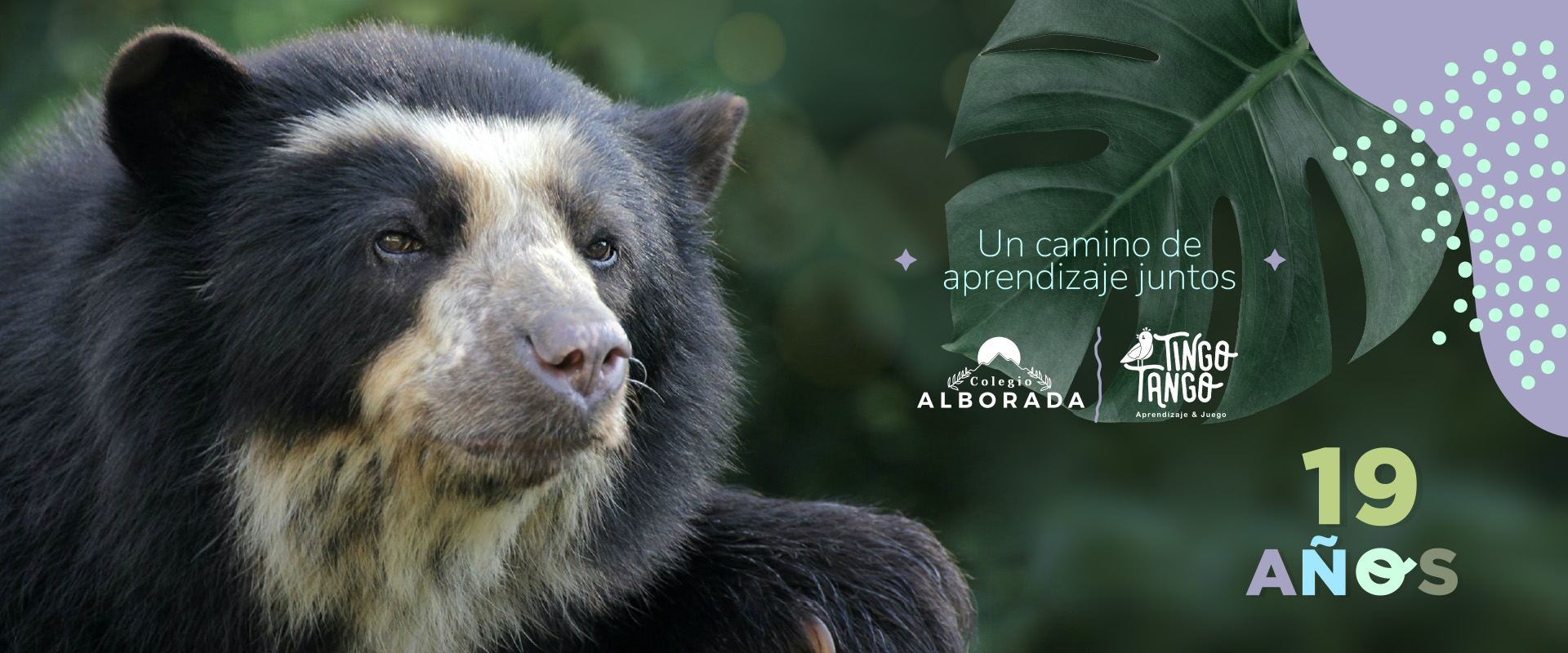 BEIKA – Programas de aprendizaje, desde la cultura y el bienestar